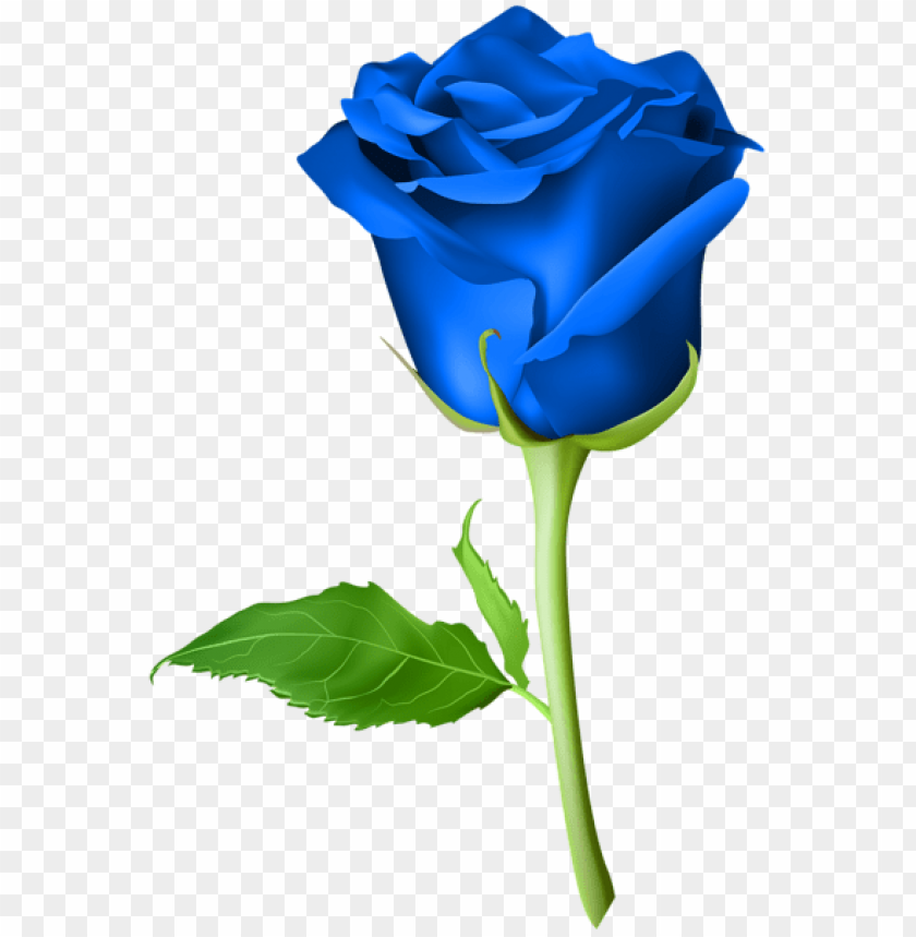 Free download | HD PNG PNG image of rose blue transparent with a clear ...