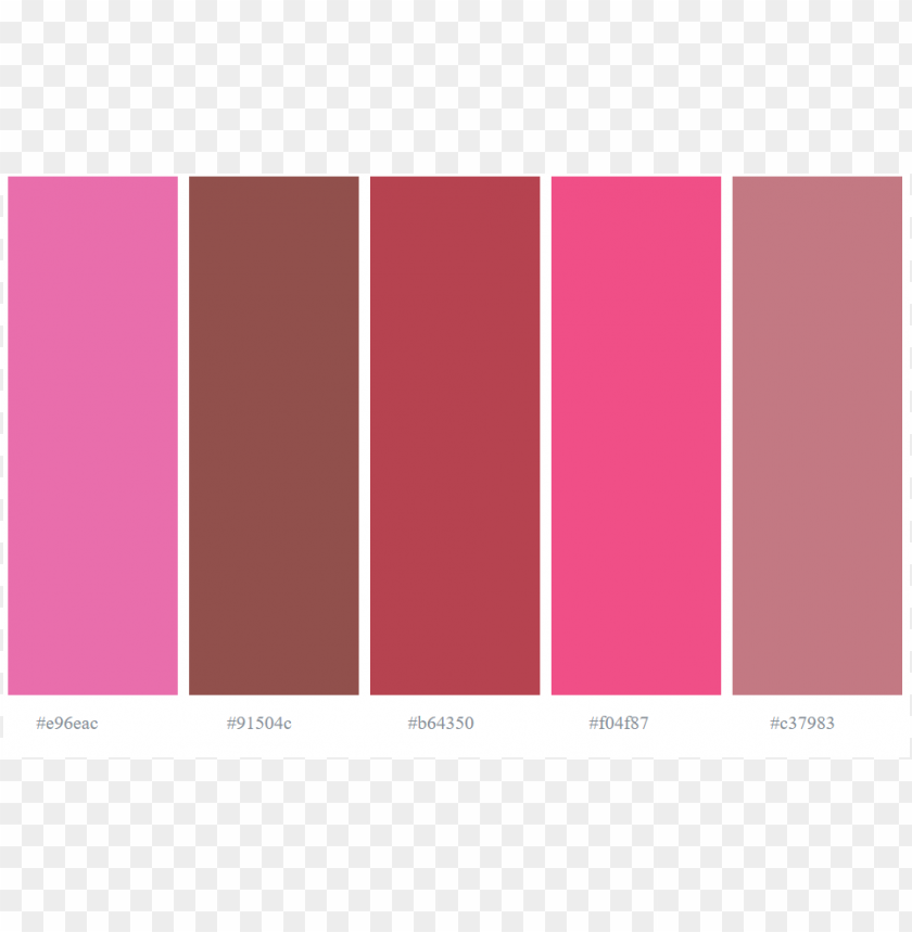 Free download | HD PNG rose color palette png - Free PNG Images | TOPpng