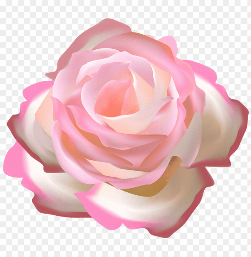 Free download | HD PNG PNG image of rose decorative transparent with a ...