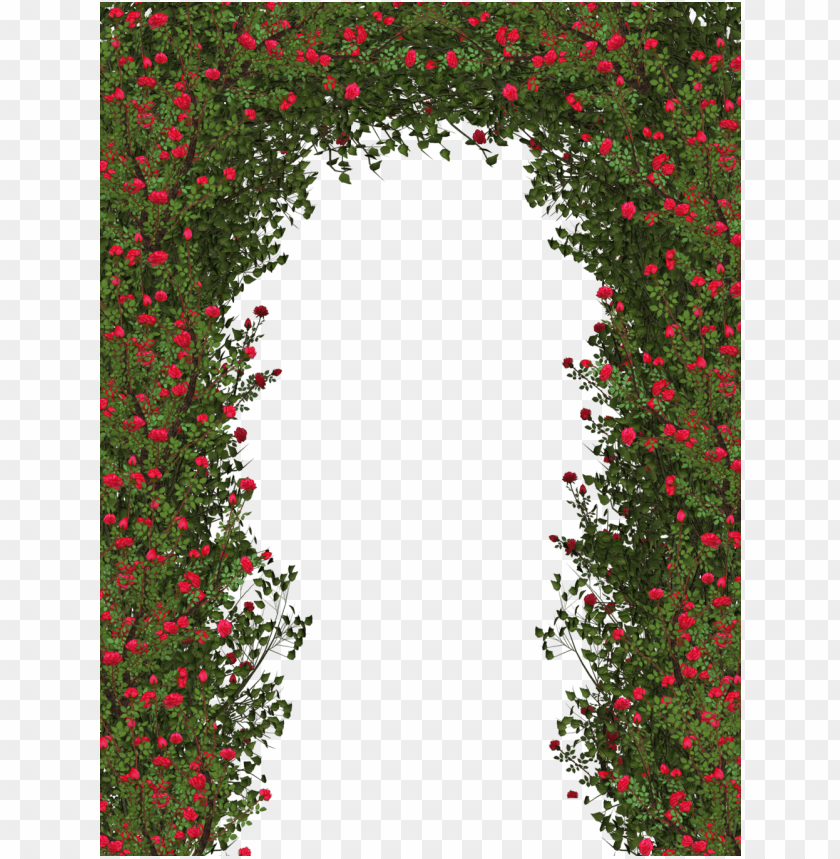 Free download | HD PNG rose flower tree PNG transparent with Clear ...