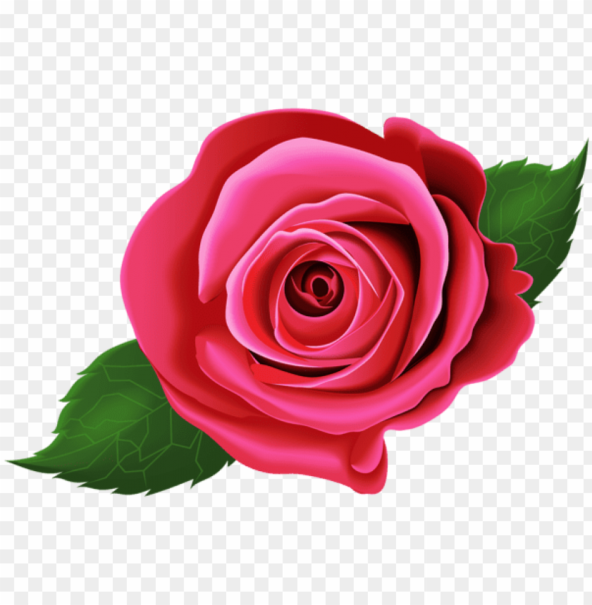 Free download | HD PNG PNG image of rose pink with leaves with a clear ...