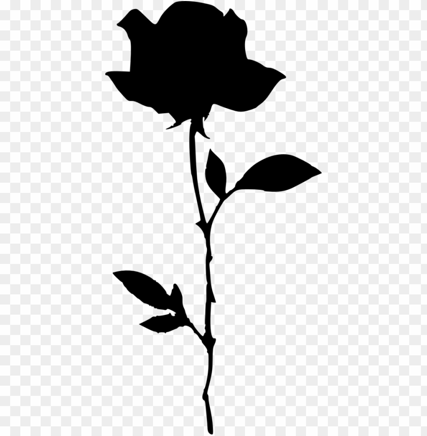 Free download | HD PNG Transparent silhouette of a tall rose with large ...