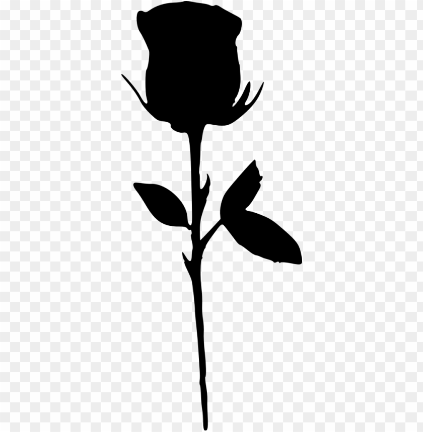 Free download | HD PNG Transparent rose silhouette with thorns and ...
