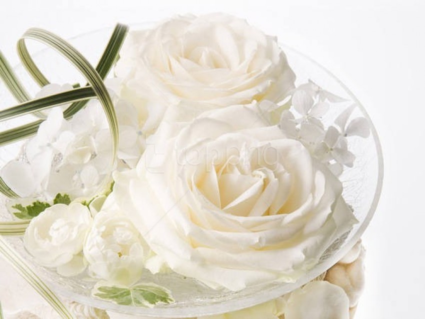 Free download | HD PNG rose wedding background best stock photos ...