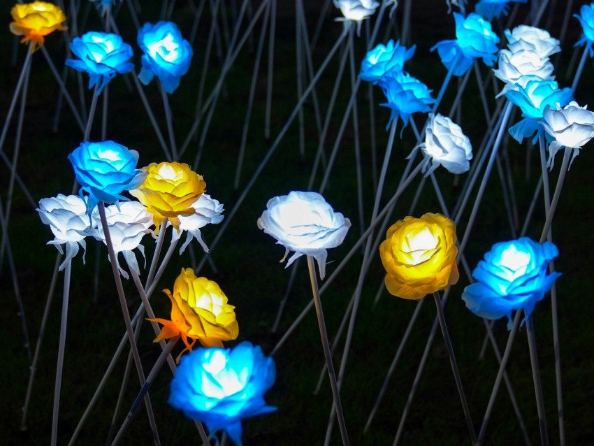 Free download | HD PNG roses lighting lights lanterns 4k wallpaper | TOPpng