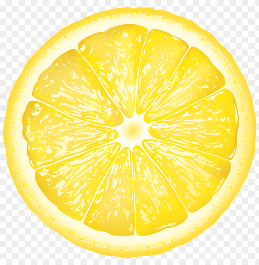 Free download | HD PNG lemon slice with detailed pulp texture | TOPpng