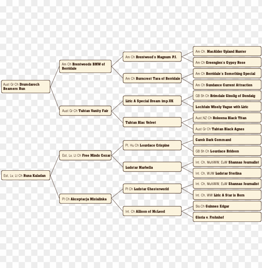 Free download | HD PNG saara sugupuu family tree PNG transparent with ...