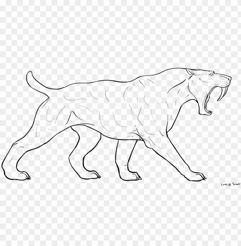 Free download | HD PNG saber saber tooth cat drawi PNG transparent with ...