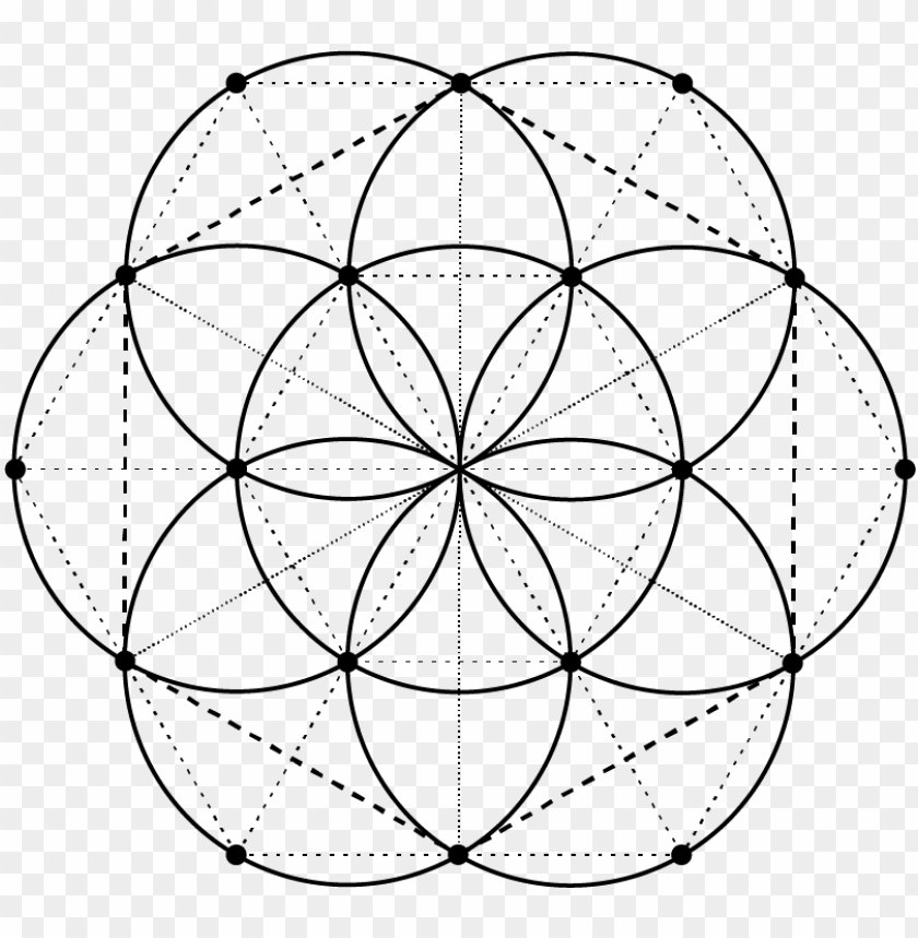 Free download | HD PNG sacred geometry vector illustrations vol seed of ...