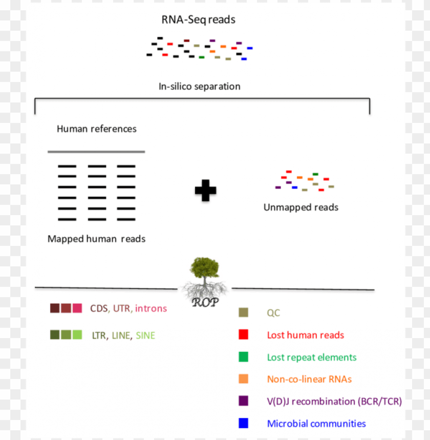 Free download | HD PNG schematic PNG transparent with Clear Background ...