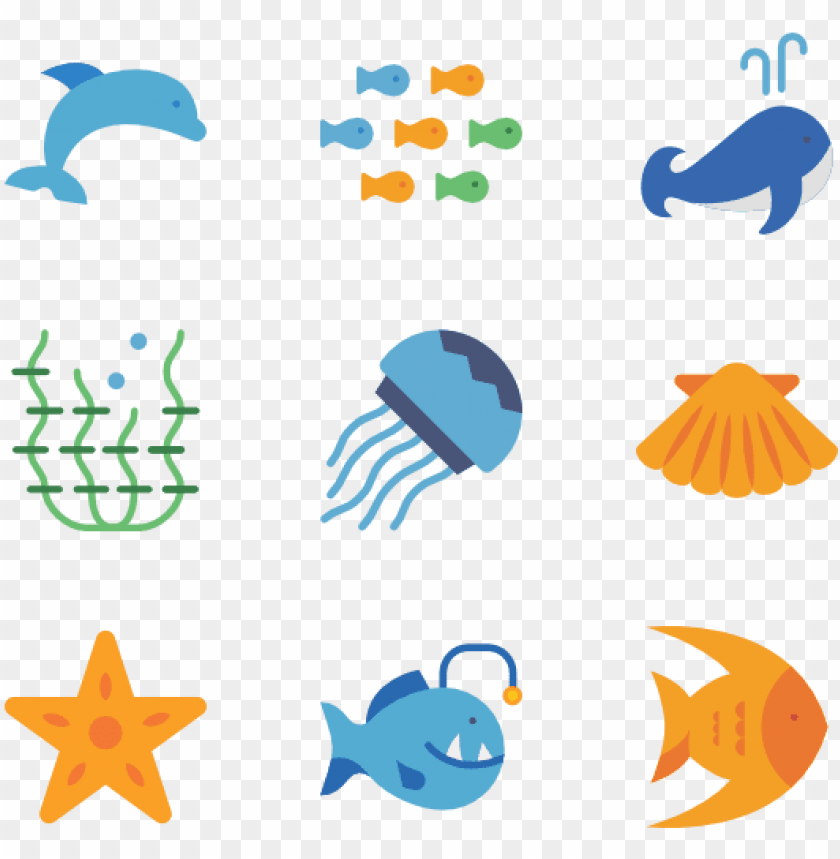 Free download | HD PNG sea animals sea animal icon png - Free PNG ...