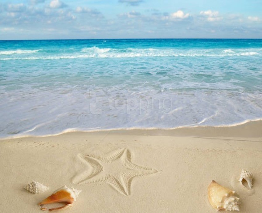 Free download | HD PNG sea sand with starfish and shells 4k wallpaper ...