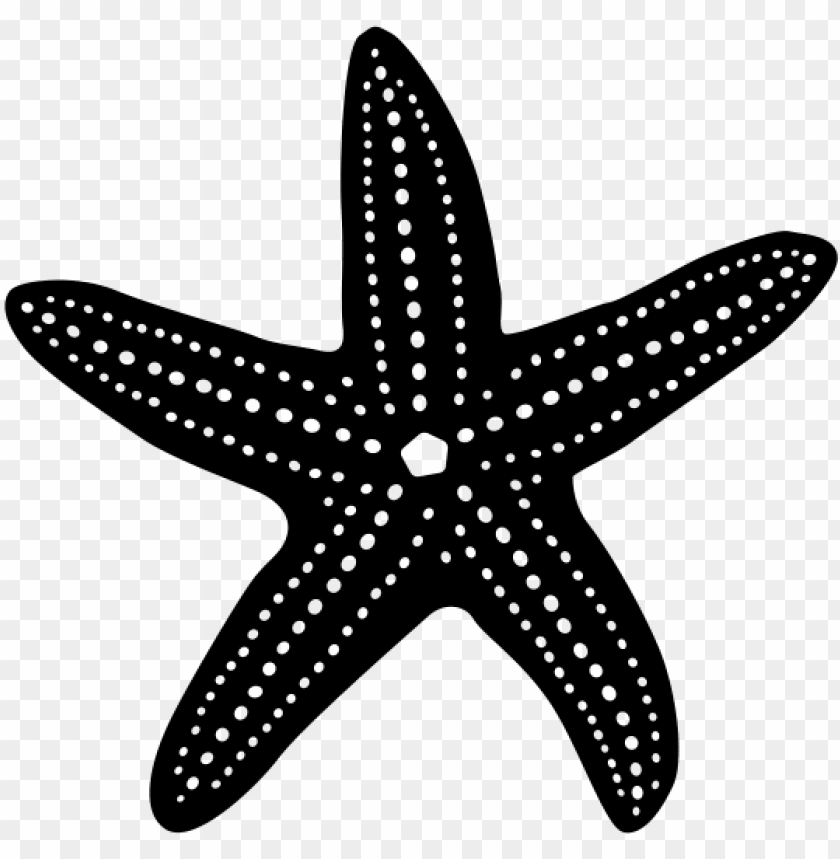 Free download | HD PNG sea star icon PNG transparent with Clear ...