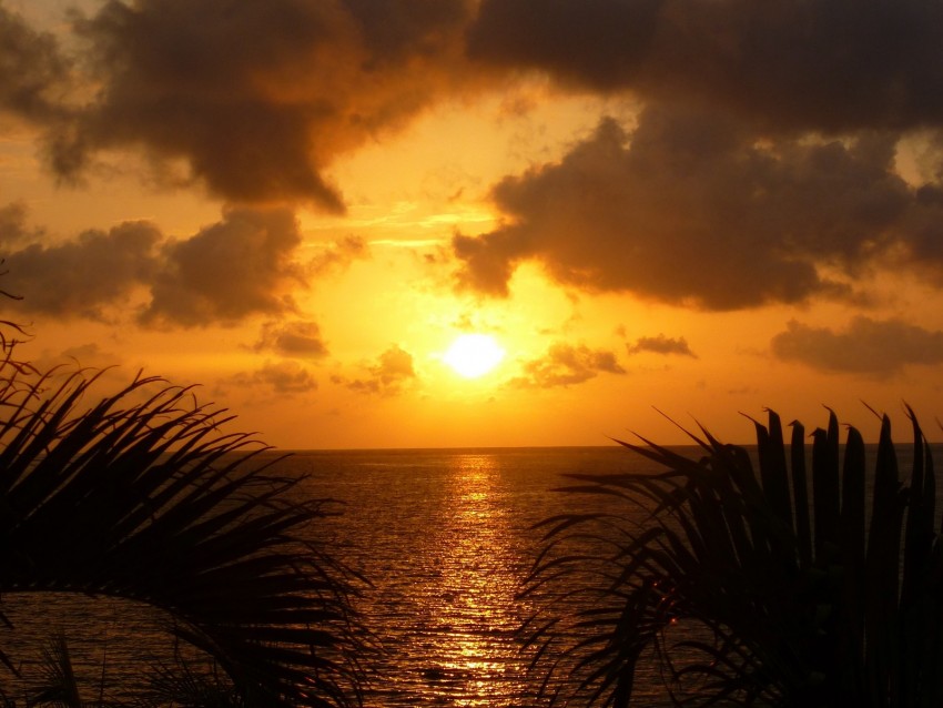 Free download | HD PNG sea sunset twilight sun reflection leaves clouds ... Free download | HD PNG sea sunset twilight sun reflection leaves clouds ...