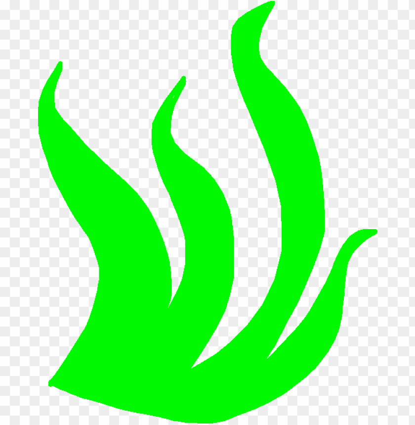 Free download | HD PNG seaweed seaweed PNG transparent with Clear ...