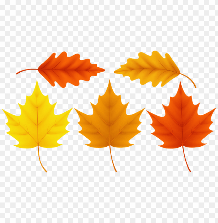 Free download | HD PNG set fall leaves clipart png photo - 55006 | TOPpng