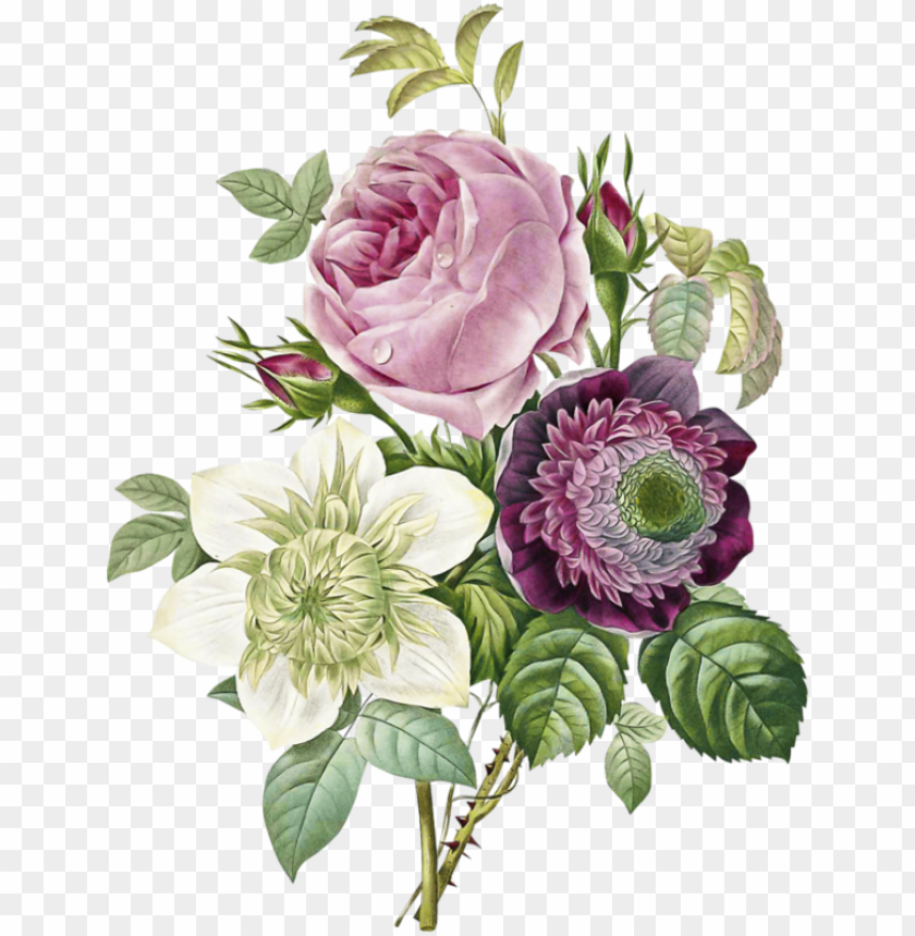 Free download | HD PNG shabby chic flower vintage PNG transparent with ...