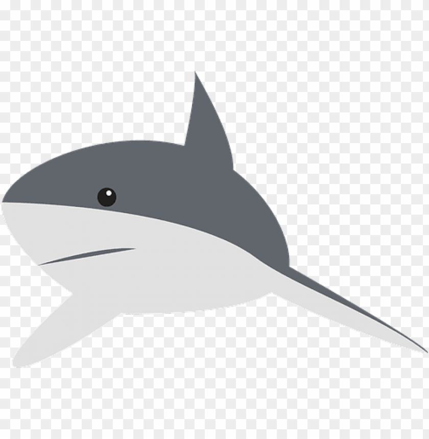 Free download | HD PNG shark perspective swimming fin animal gray gray ...