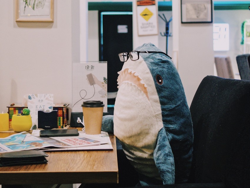 Free download | HD PNG shark toy humor work office 4k wallpaper | TOPpng