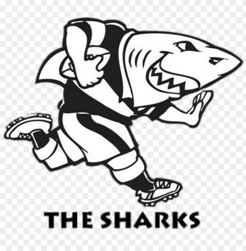 Free download | HD PNG sharks rugby logo png | TOPpng
