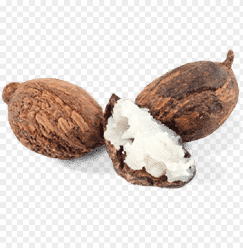 Free download | HD PNG shea butter shea butter tree PNG transparent ...