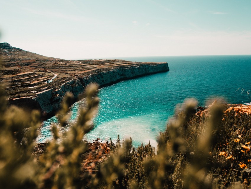 Free download | HD PNG shore sea cliff stone water plants 4k wallpaper ...