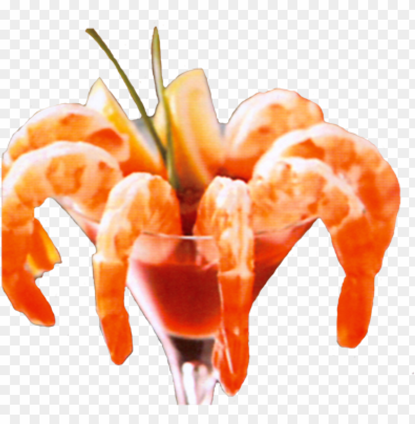 Free download | HD PNG shrimp cocktail png caridean shrim PNG ...