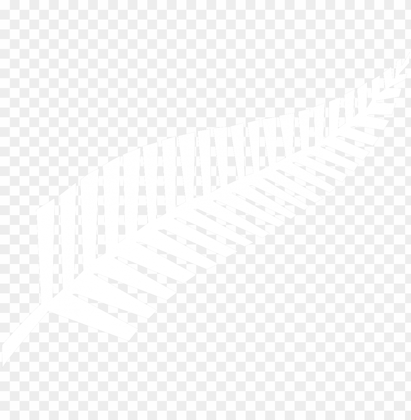 Free download | HD PNG silver fern flag silver fern logo PNG ...