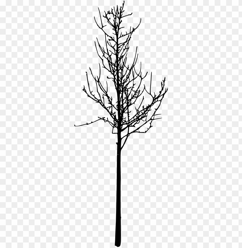 Free download | HD PNG Transparent simple bare tree silhouette PNG ...