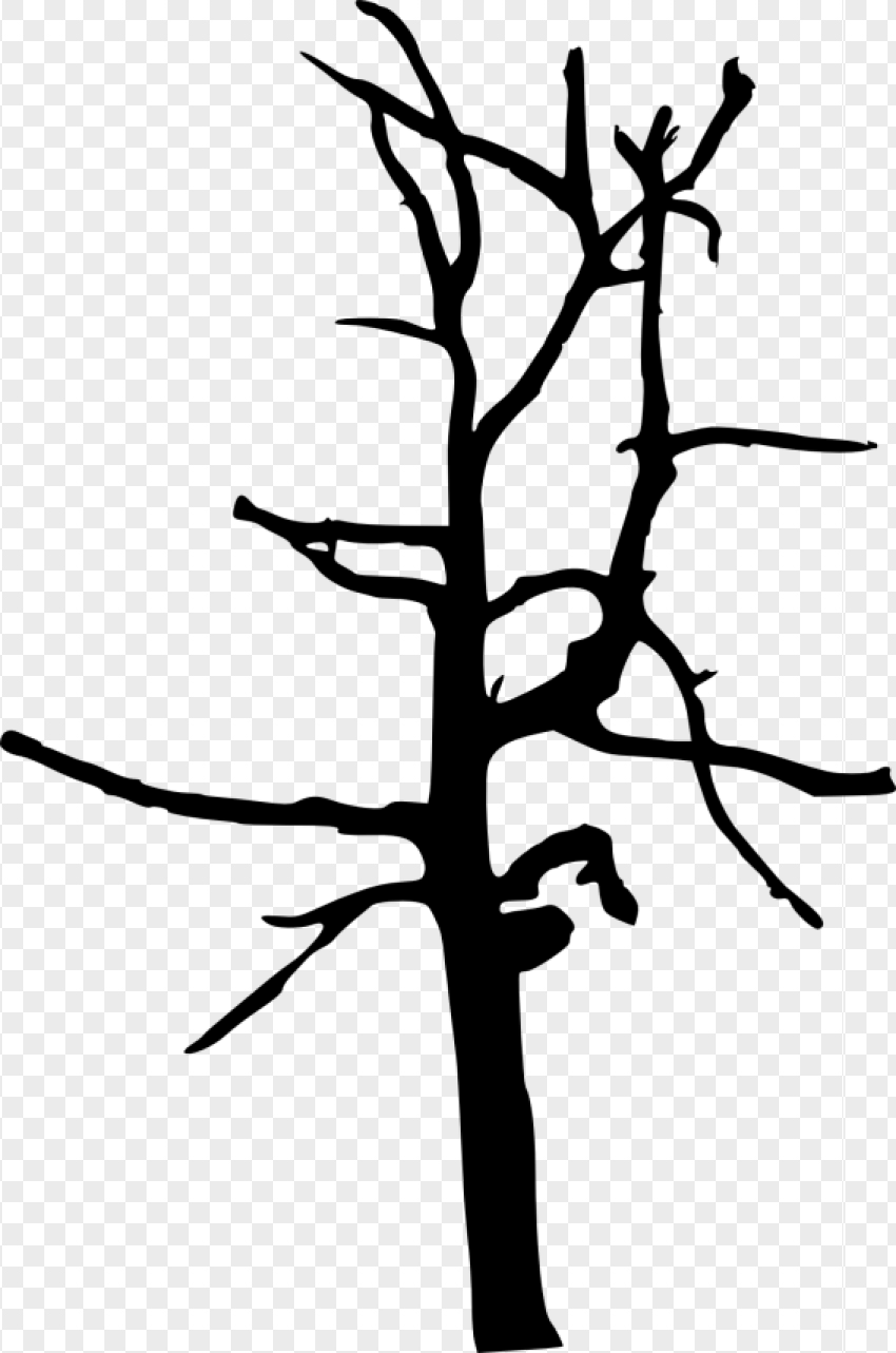Free download | HD PNG Transparent silhouette of tall dead tree png PNG ...