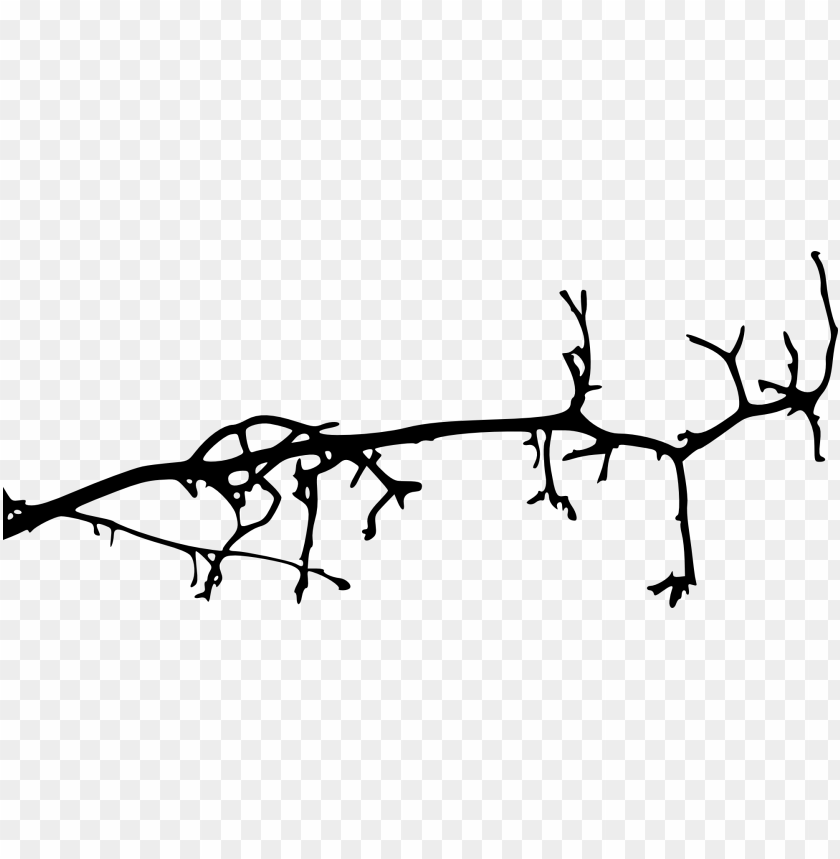 Free download | HD PNG Transparent simple tree branch PNG Image - ID ...