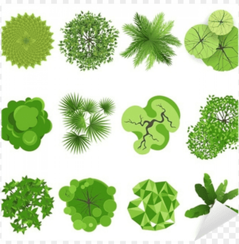 Free download | HD PNG simple tree plan view PNG transparent with Clear ...