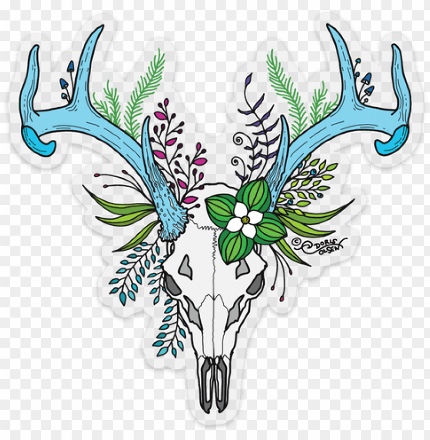 Free download | HD PNG sitka black tailed deer skull with blue antlers ...