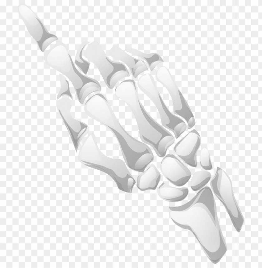 Free download | HD PNG skeleton hand png images background - image ID ...