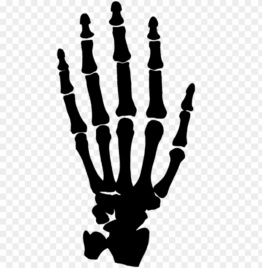 Free download | HD PNG skeleton hand no background PNG transparent with ...