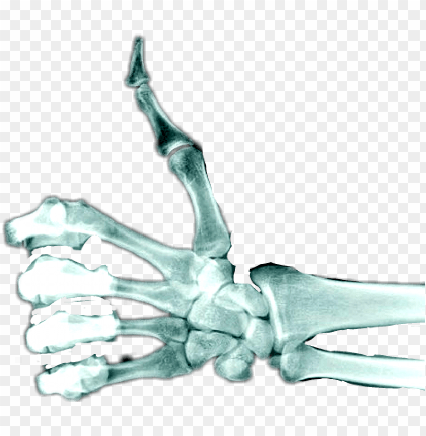 Free download | HD PNG skeleton hand thumbs u PNG transparent with ...