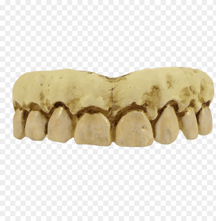 Free download | HD PNG skeleton teeth png royalty free skeleton teeth ...