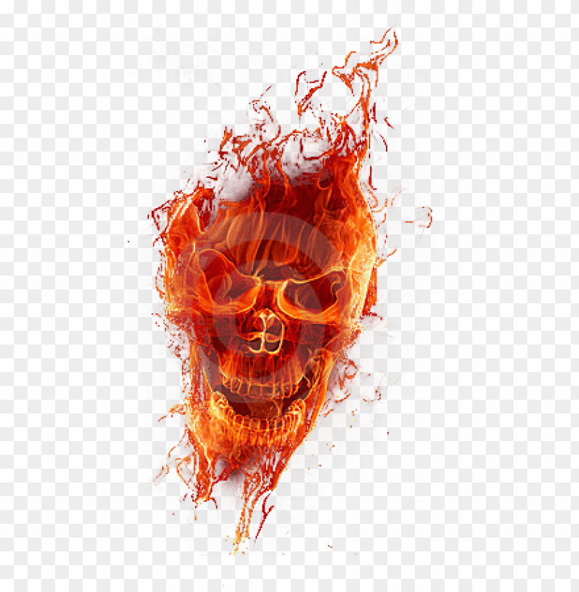 Free download | HD PNG skull on fire PNG transparent with Clear ...