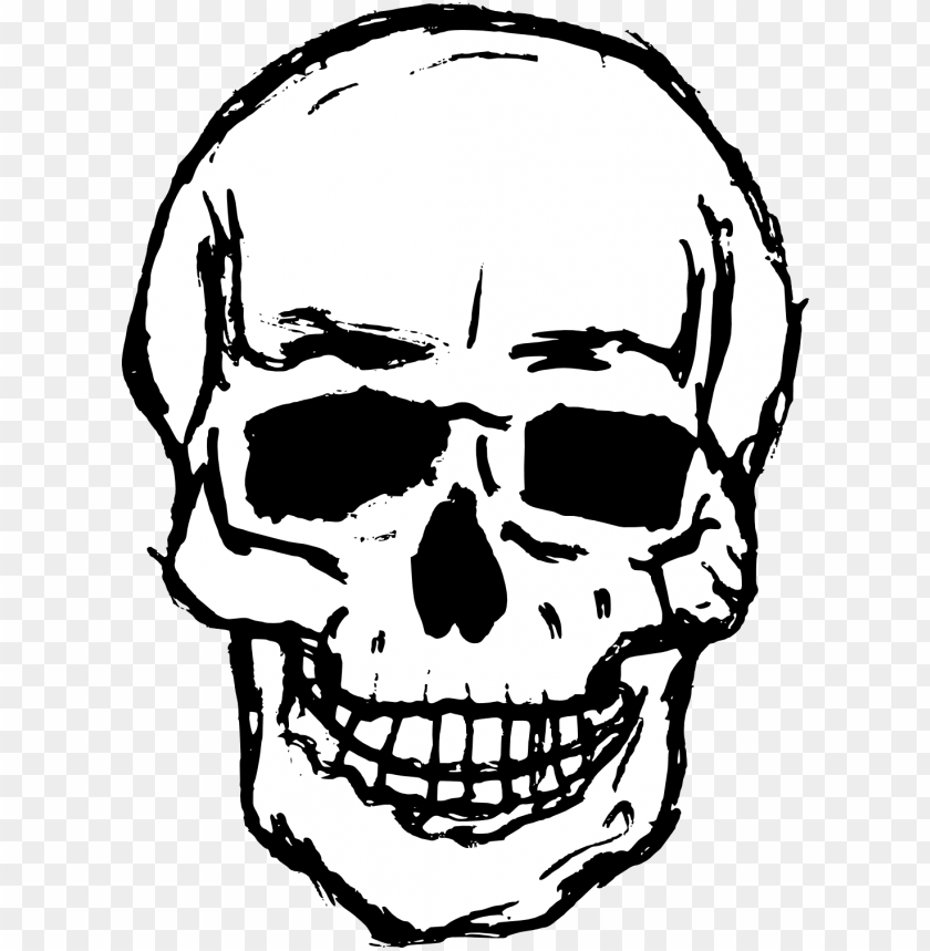 Free download | HD PNG grinning skull with detailed features clipart ...