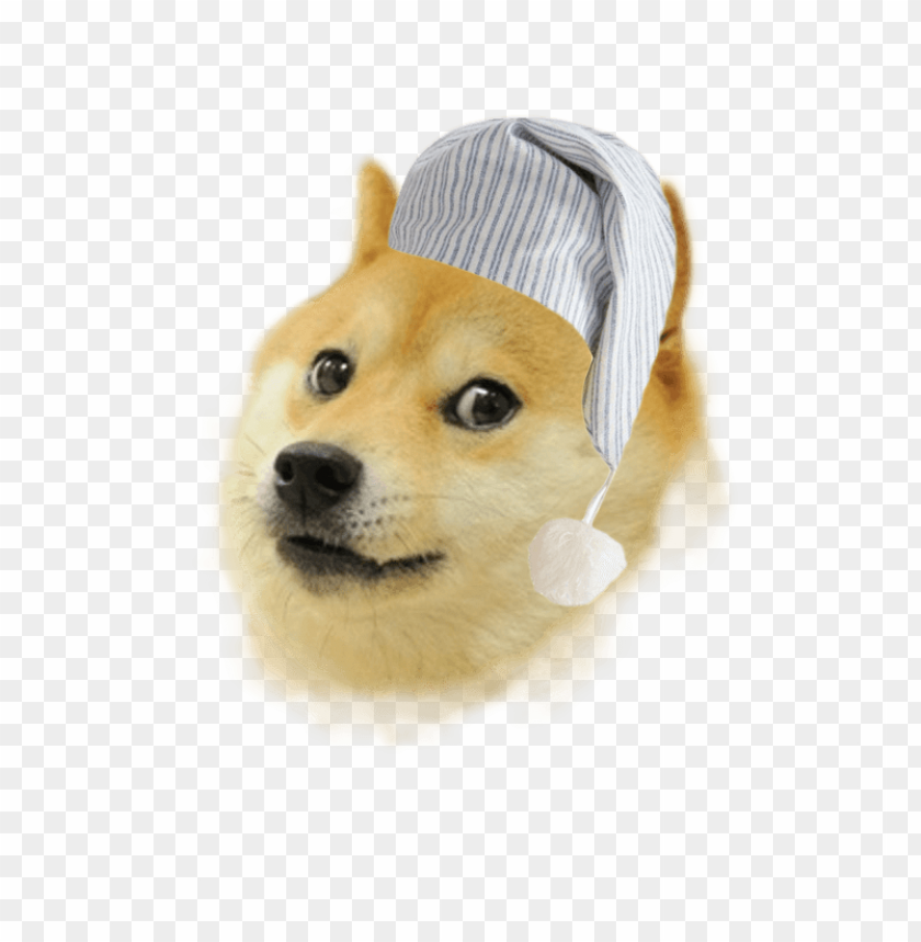 Free download | HD PNG sleepy doge PNG transparent with Clear ...