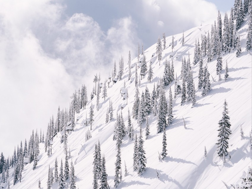 Free download | HD PNG slope mountain trees winter snow 4k wallpaper ...