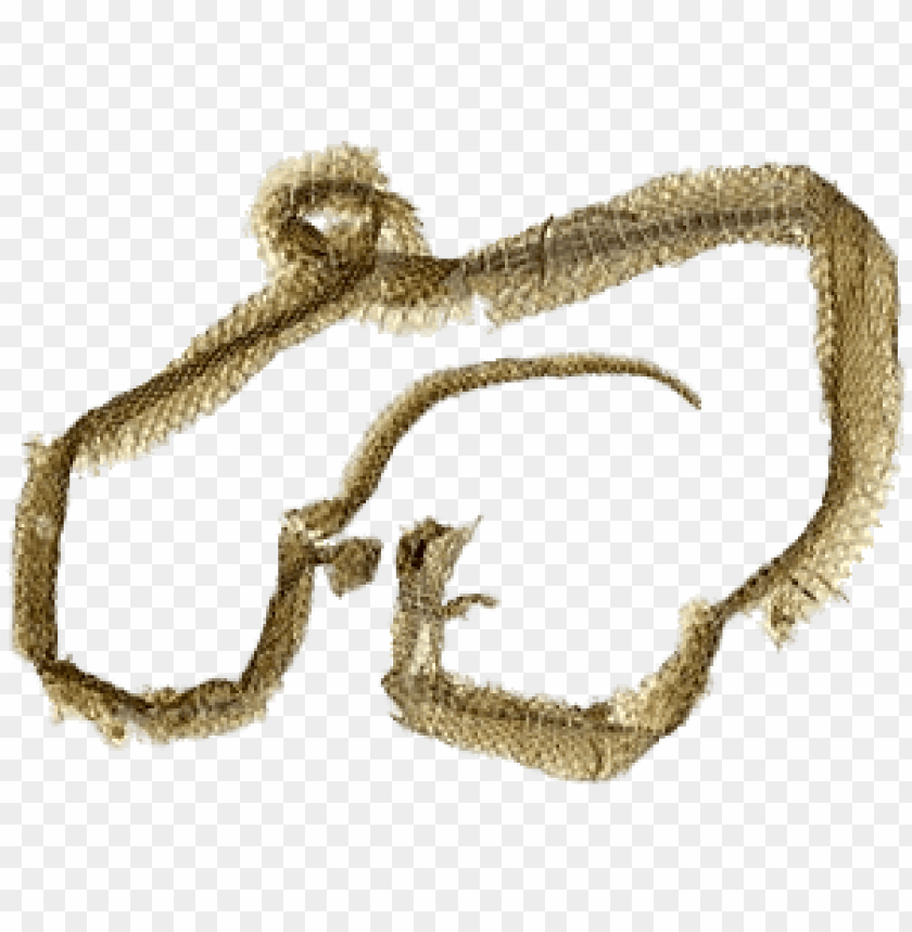 Free download | HD PNG snakeskin PNG transparent with Clear Background ...