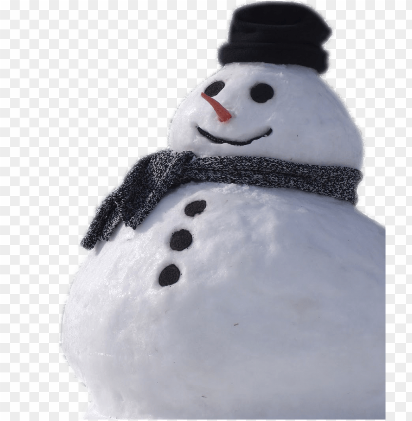 Free download | HD PNG snowman real PNG transparent with Clear ...
