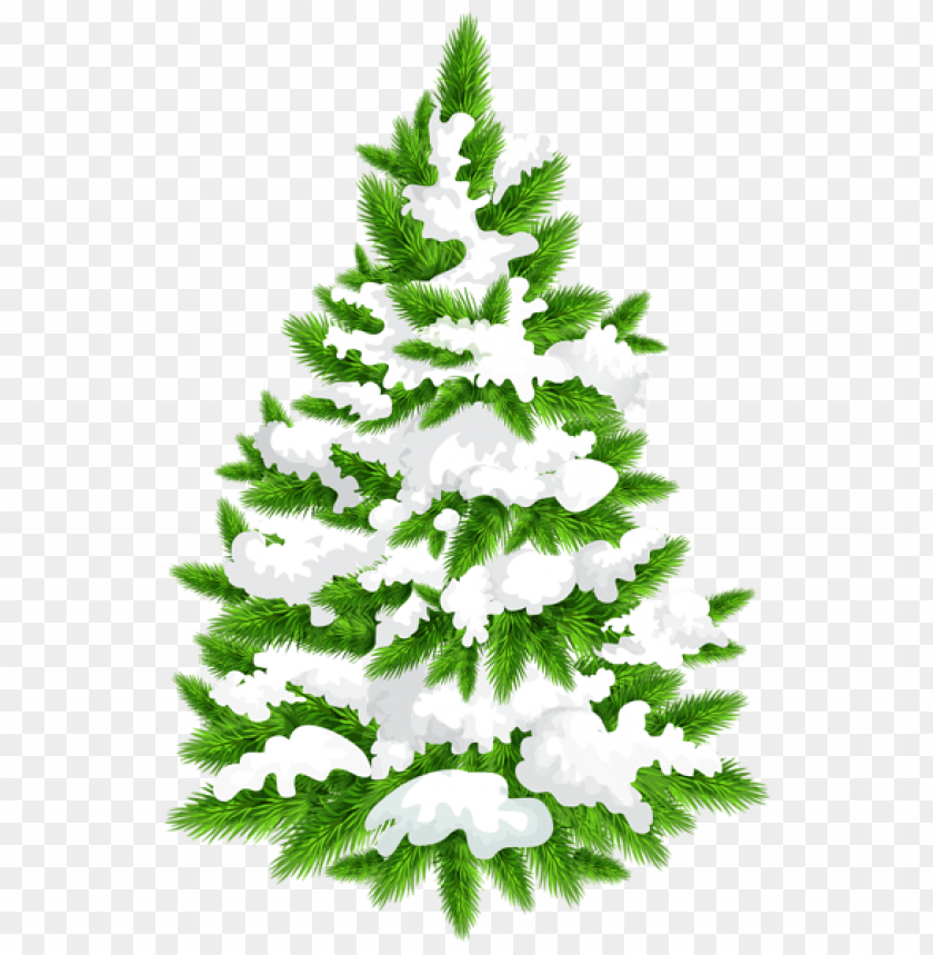 Free download | HD PNG snowy pine tree PNG Images 42291 | TOPpng