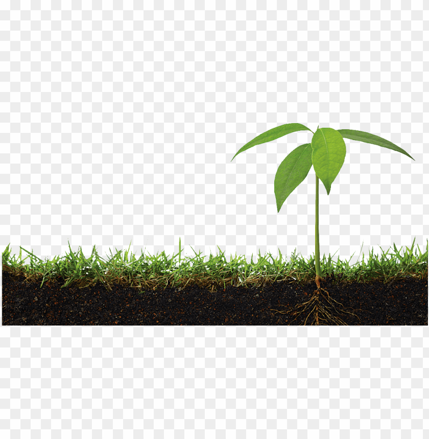 Free download | HD PNG soil png PNG transparent with Clear Background ...