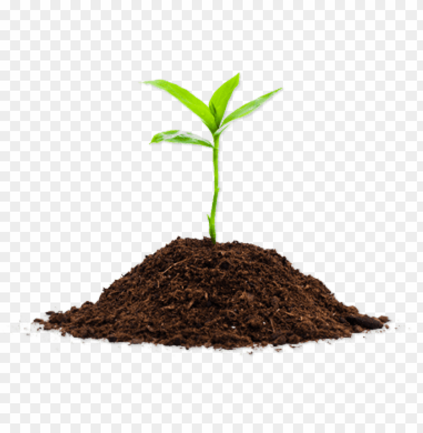 Free download | HD PNG soil png PNG transparent with Clear Background ...