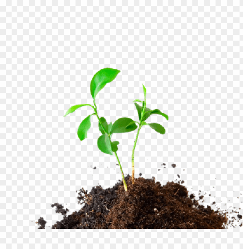 Free download | HD PNG soil png PNG transparent with Clear Background ...