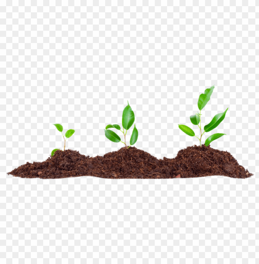Free download | HD PNG soil png PNG transparent with Clear Background ...
