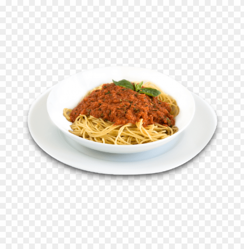 Free download | HD PNG plate of spaghetti with tomato sauce png PNG ...