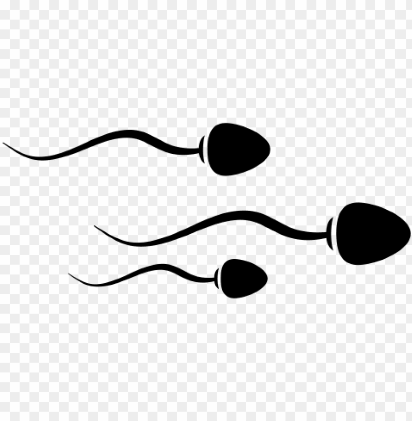 Free download | HD PNG sperm ico PNG transparent with Clear Background ...